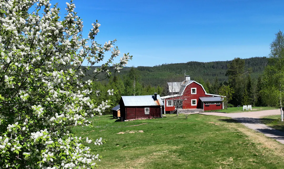 Välskött gård med 55 ha skog & mark - Gård, Lantligt boende till salu ...